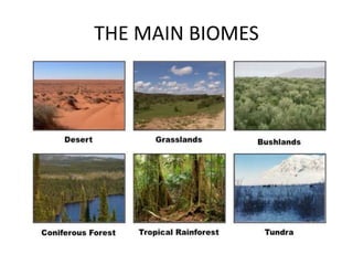 Biomes | PPTX