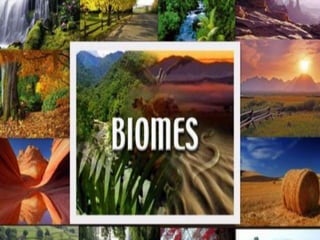 Biomes | PPT