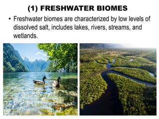 Biomes | PPT