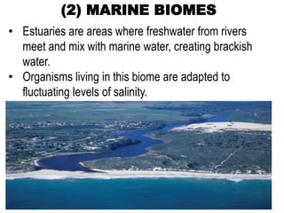Biomes | PPT