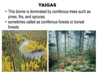 Biomes | PDF
