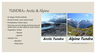 Biomes | PPT