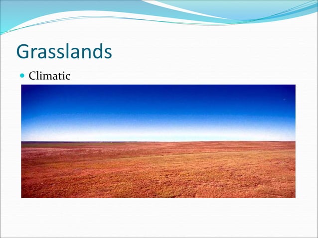 Biomes | PPT | Geography | Science