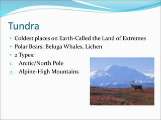 Biomes | PPT