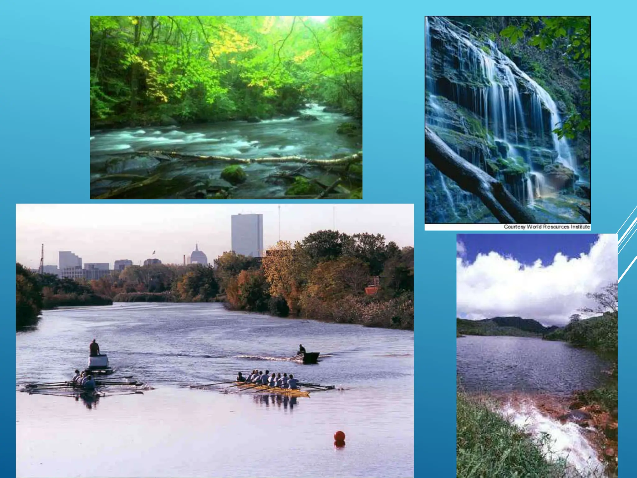 biomes-221109093131-e1c4aa55.ppt.pptx | Free Download