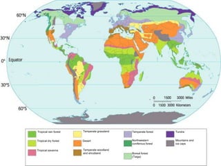 Biomes.ppt