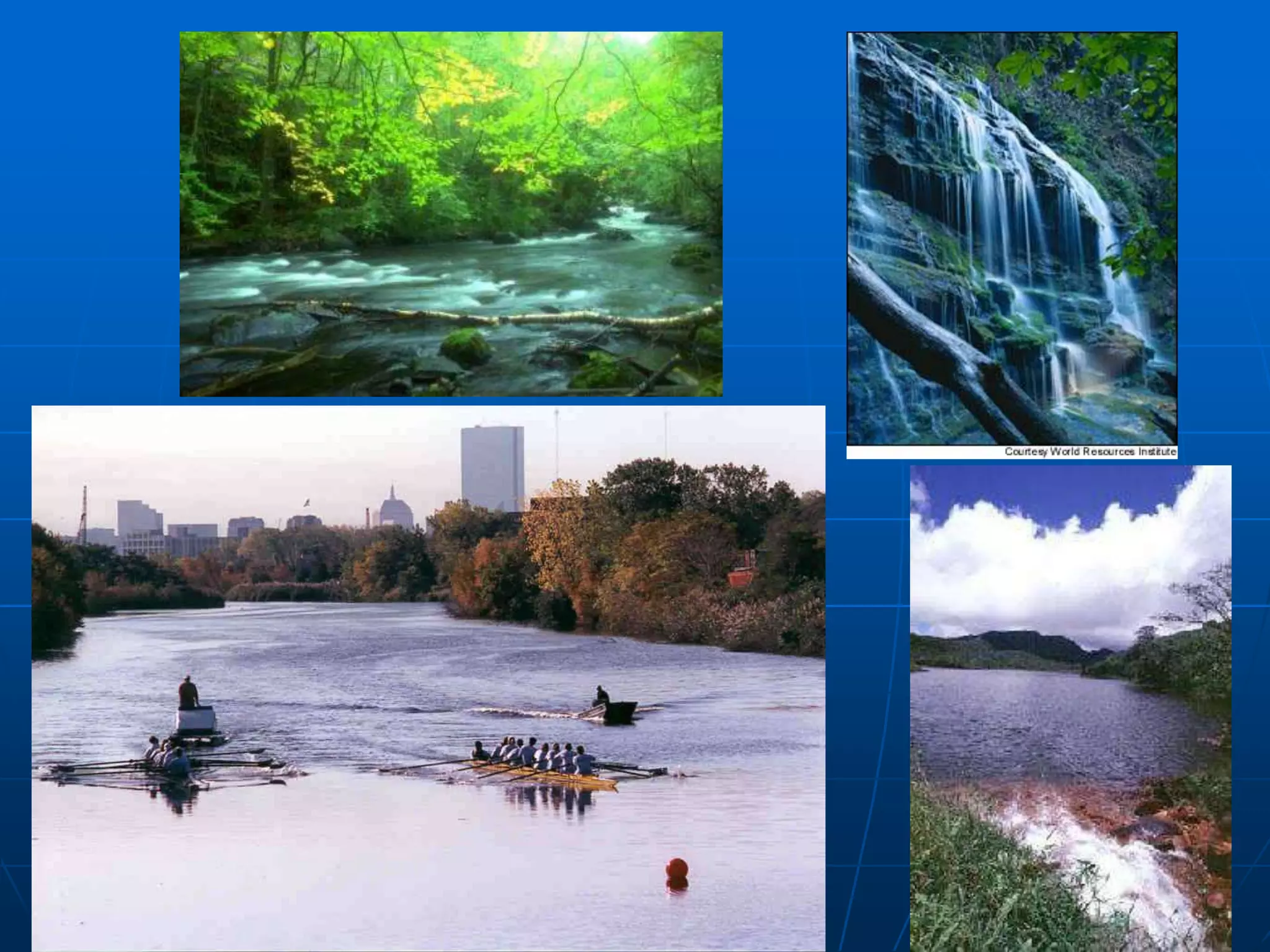 Biomes.ppt
