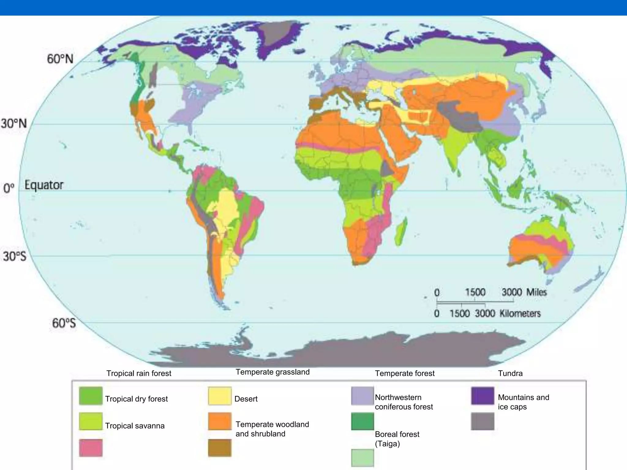 Biomes.ppt | Free Download