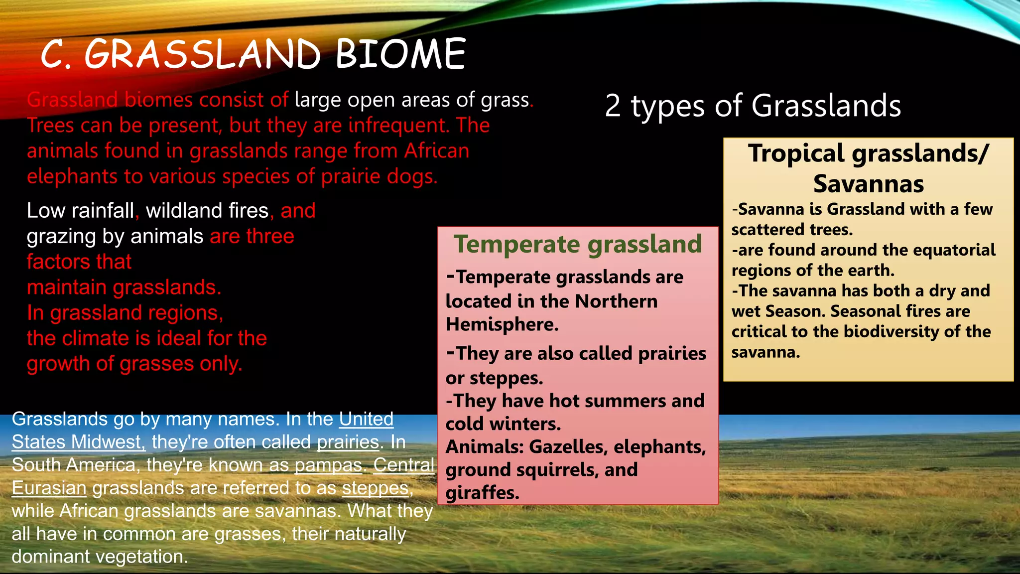 BIOMES.pptx