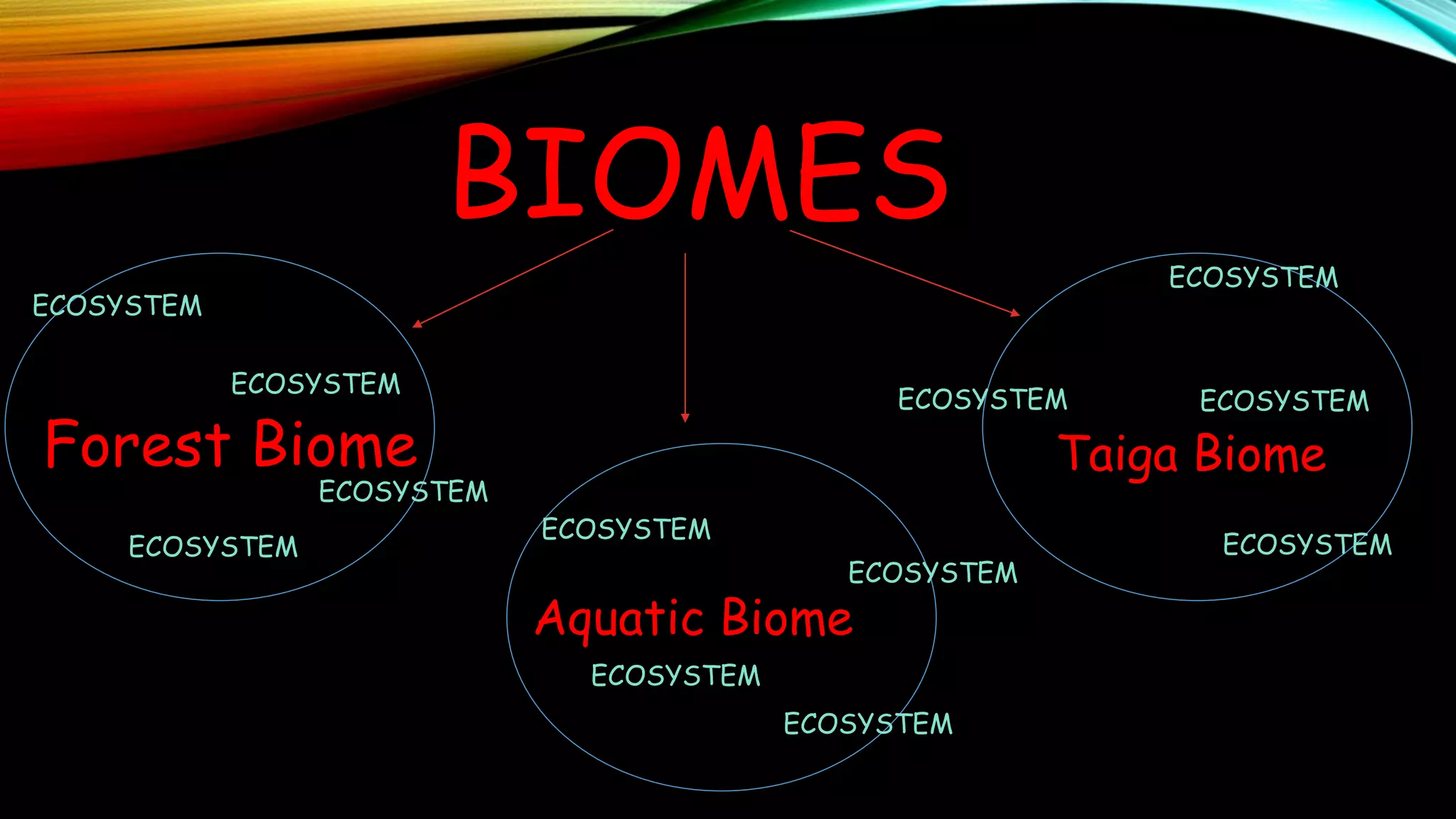 BIOMES.pptx