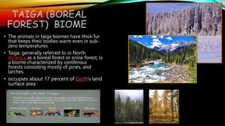 BIOMES.pptx