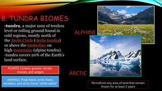 BIOMES.pptx