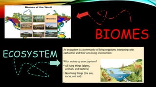 BIOMES.pptx