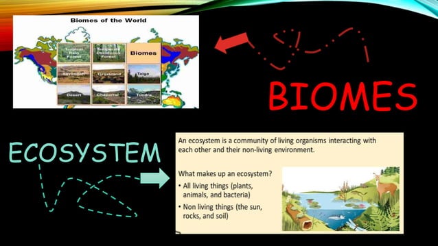 BIOMES.pptx