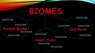 BIOMES.pptx