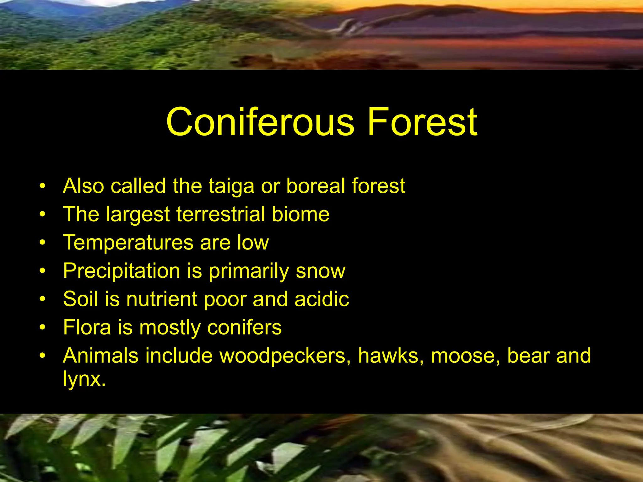 world distribution of bioms and their characteristics | PPT