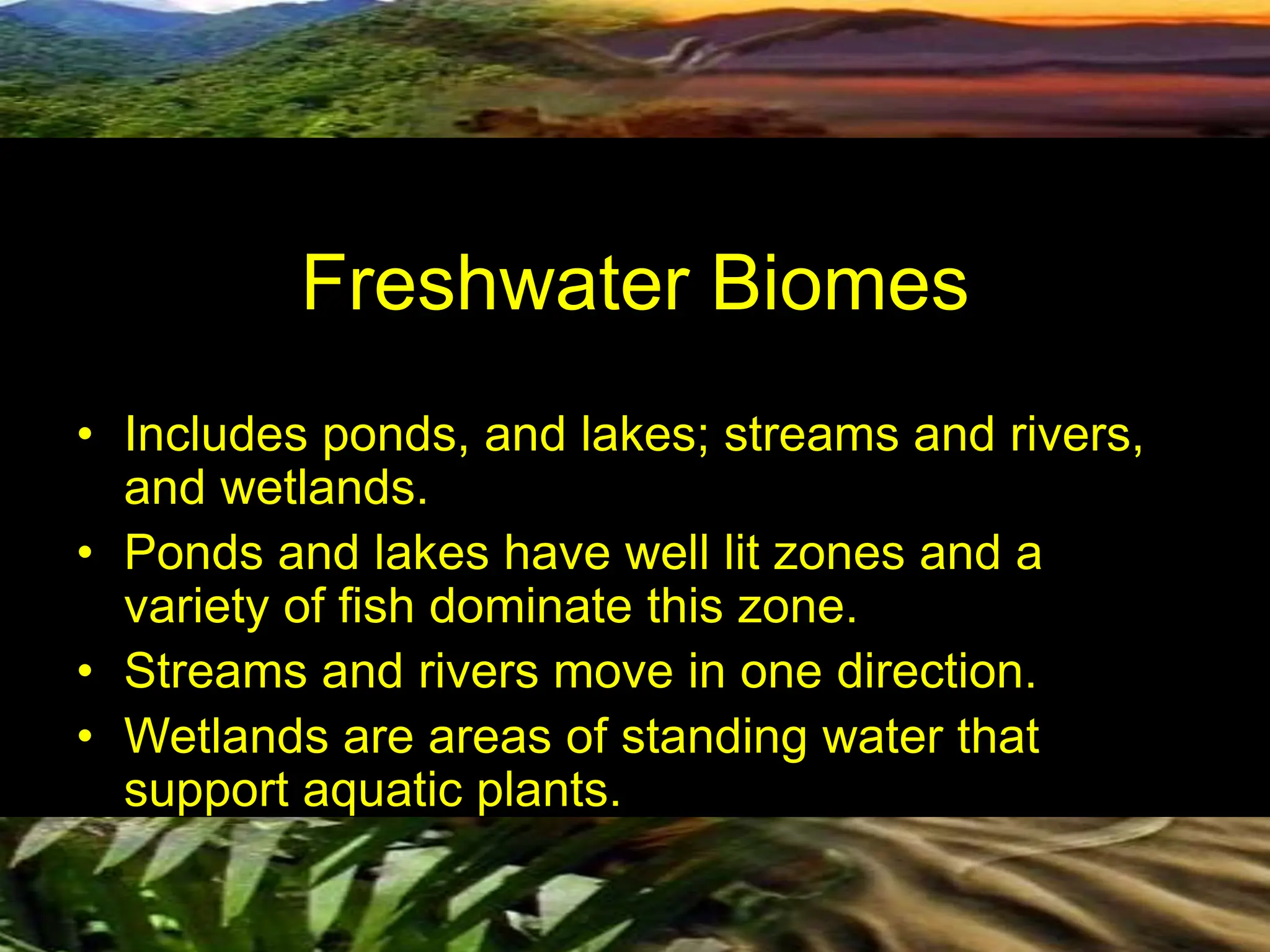 world distribution of bioms and their characteristics | PPT