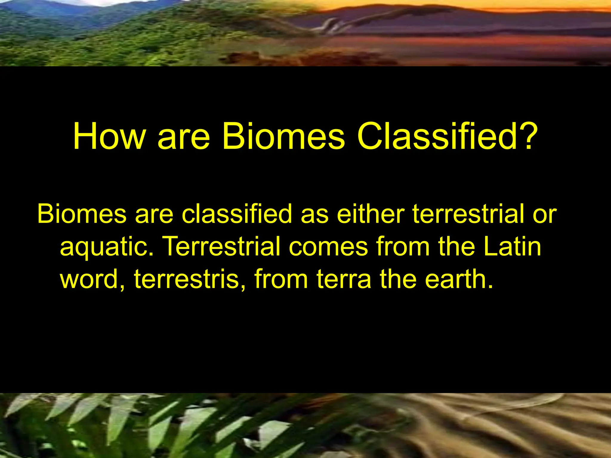 world distribution of bioms and their characteristics | PPT