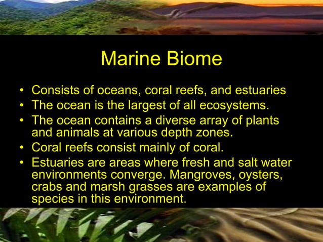 world distribution of bioms and their characteristics | PPT