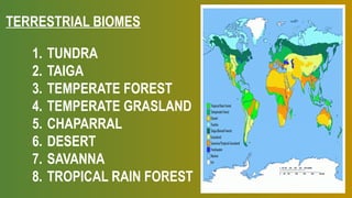 BIOMES.pptxBIOMES.pptxBIOMES.pptxBIOMESs | PPT