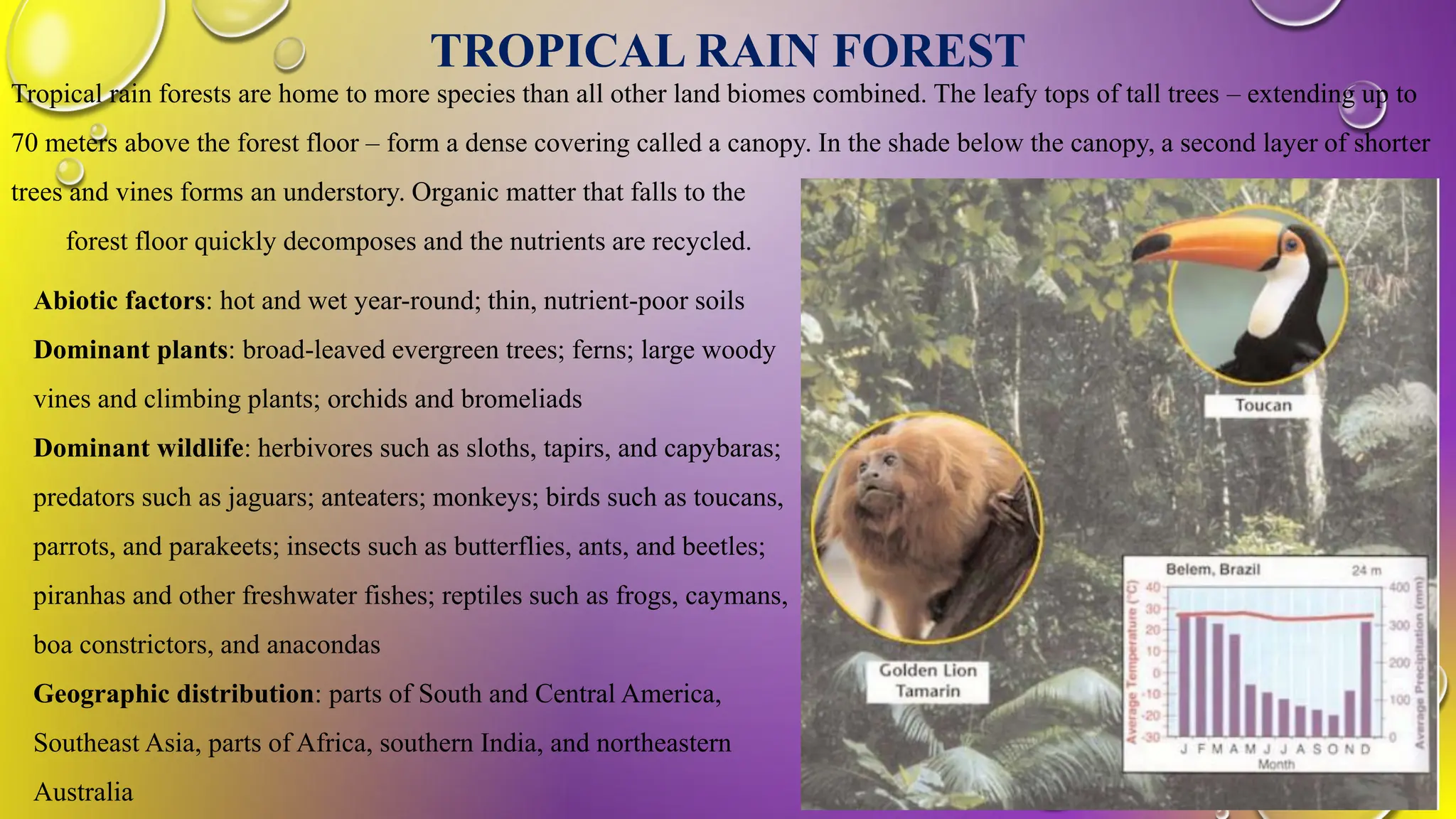 Biomes, Ecosystem, Classification of Biomes | PPT