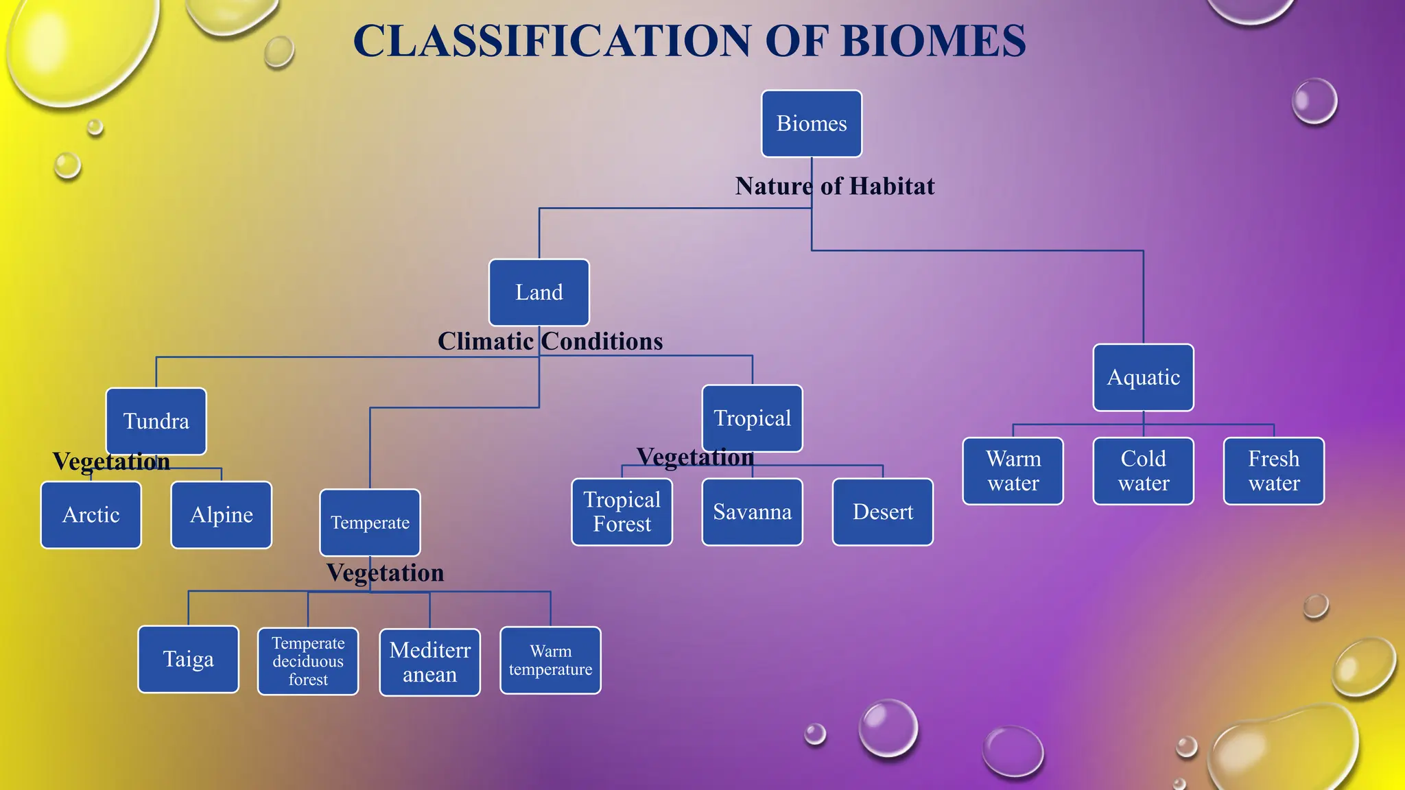 Biomes, Ecosystem, Classification of Biomes | PPT