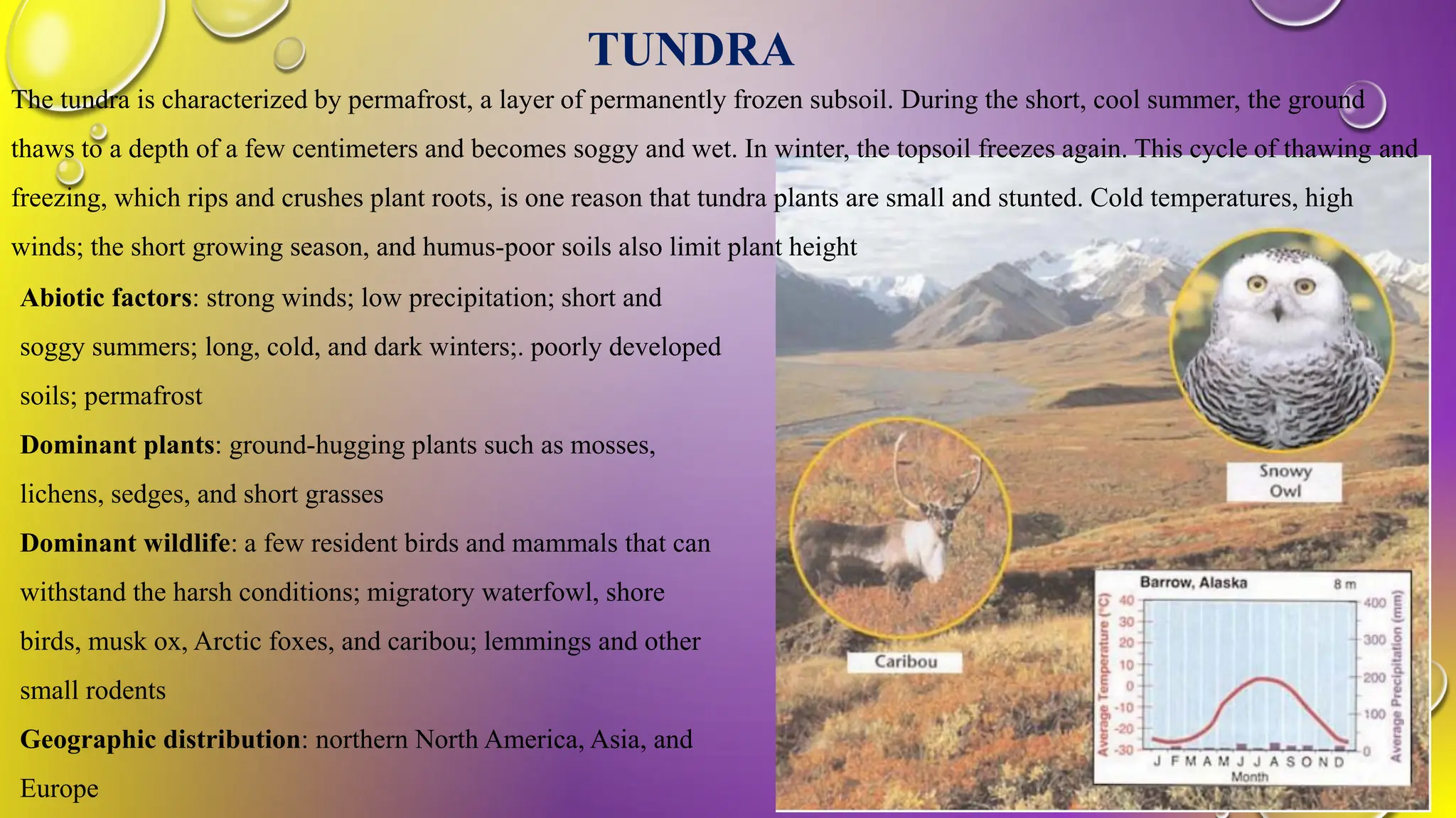 Biomes, Ecosystem, Classification of Biomes | PPT