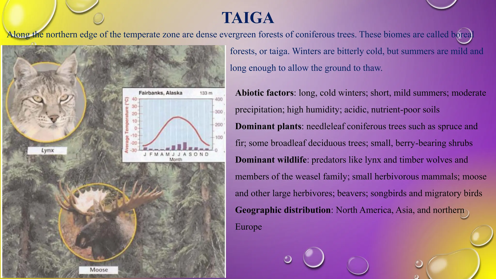 Biomes, Ecosystem, Classification of Biomes | PDF