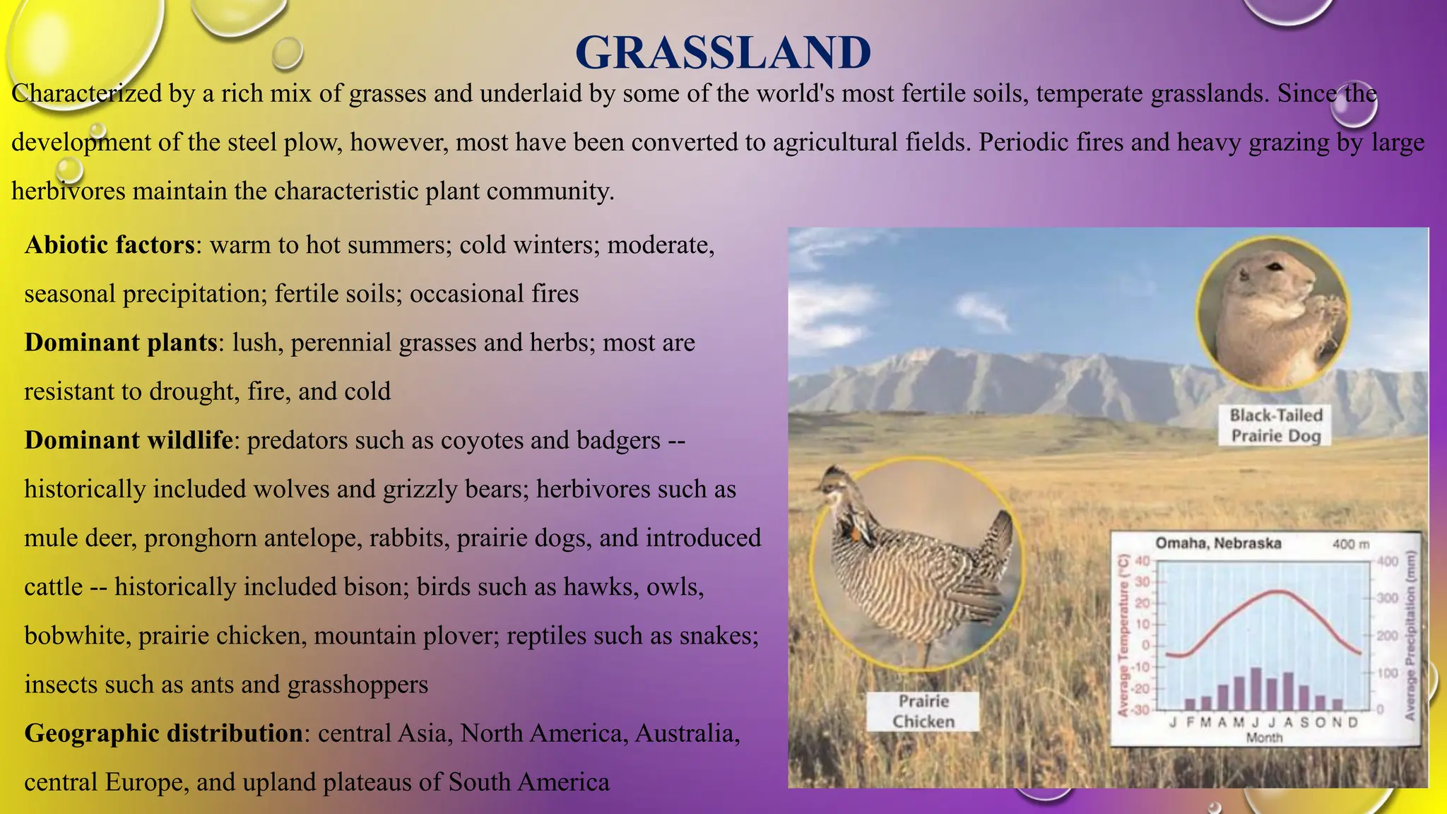 Biomes, Ecosystem, Classification of Biomes | PPT