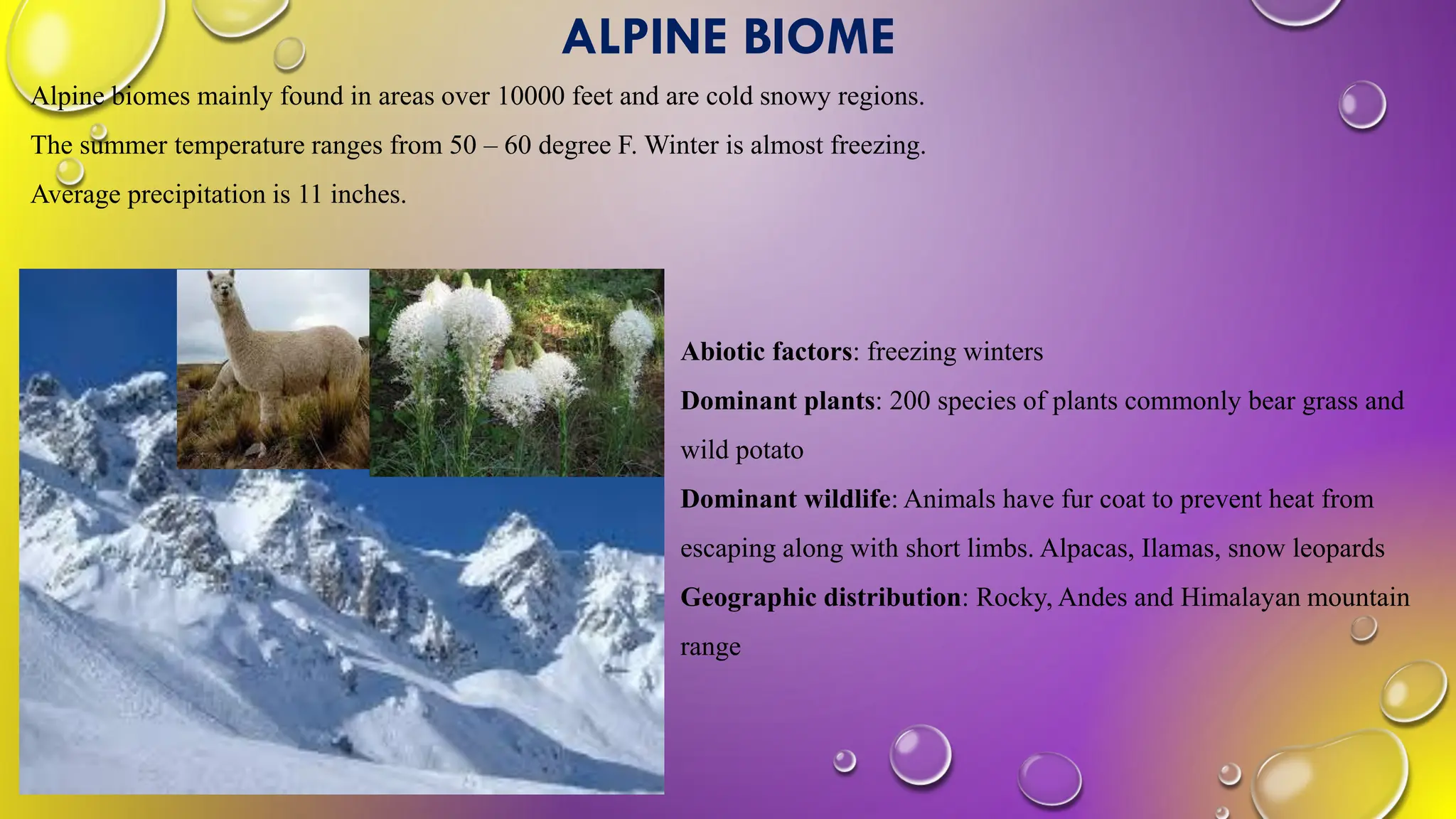 Biomes, Ecosystem, Classification of Biomes | PPT