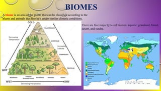 Biomes, Ecosystem, Classification of Biomes | PPT