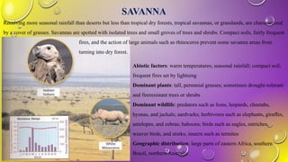 Biomes, Ecosystem, Classification of Biomes | PDF