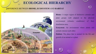 Biomes, Ecosystem, Classification of Biomes | PPT