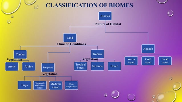 Biomes, Ecosystem, Classification of Biomes | PPT