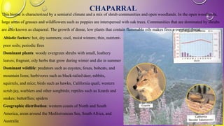 Biomes, Ecosystem, Classification of Biomes | PDF