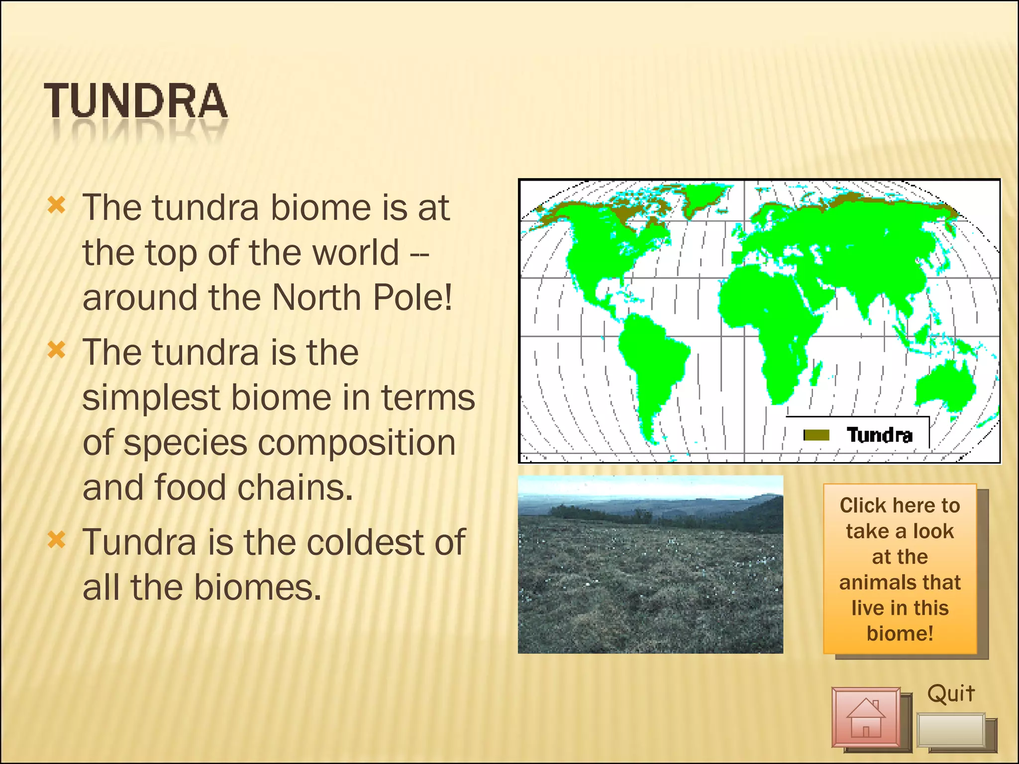 An Interactive look at the Earths Biomes | PPT