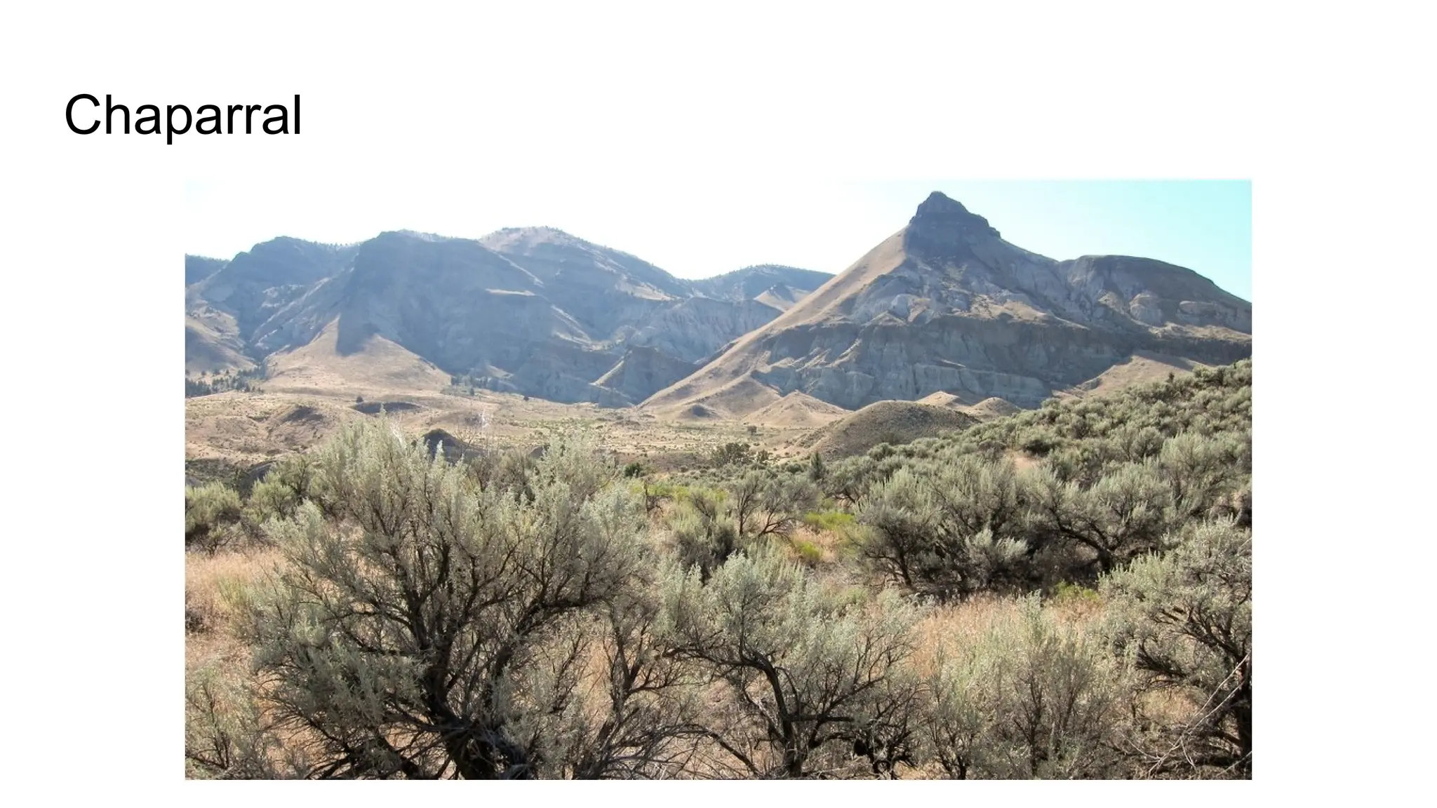 Slideshow with pictures of Different Biomes | PPTX | Geography | Science