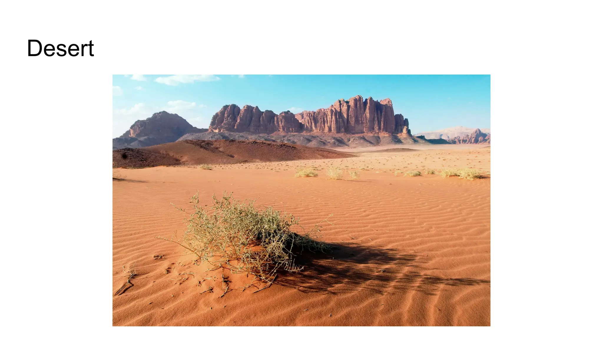 Slideshow with pictures of Different Biomes | PPTX | Geography | Science