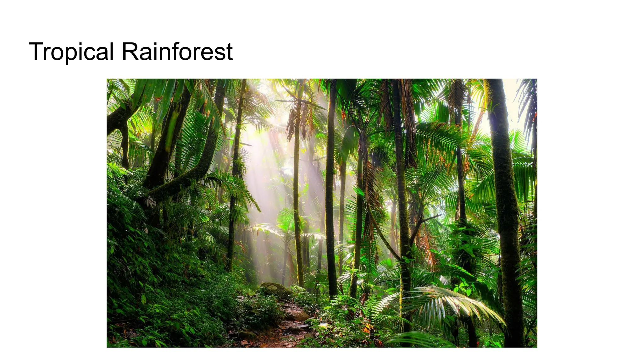 Slideshow with pictures of Different Biomes | PPTX | Geography | Science