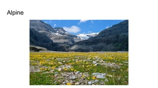 Slideshow with pictures of Different Biomes | PPTX | Geography | Science