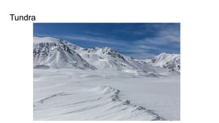 Slideshow with pictures of Different Biomes | PPTX | Geography | Science