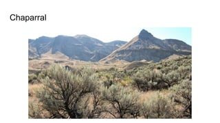 Slideshow with pictures of Different Biomes | PPTX | Geography | Science