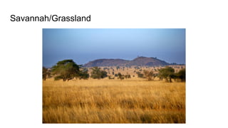 Slideshow with pictures of Different Biomes | PPTX | Geography | Science