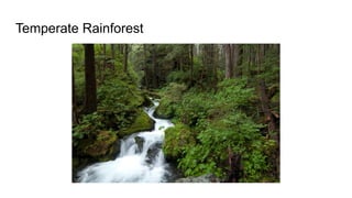 Slideshow with pictures of Different Biomes | PPTX | Geography | Science