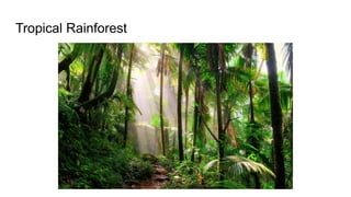 Slideshow with pictures of Different Biomes | PPTX | Geography | Science