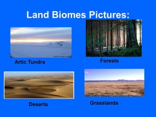 Biomes (1) | PPT