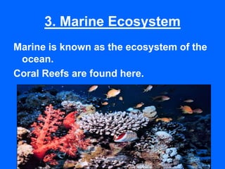 Biomes (1) | PPT