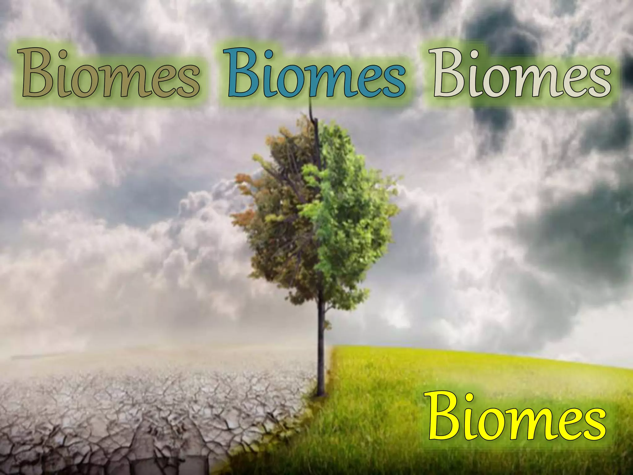 Biomes: PowerPoint | PPSX
