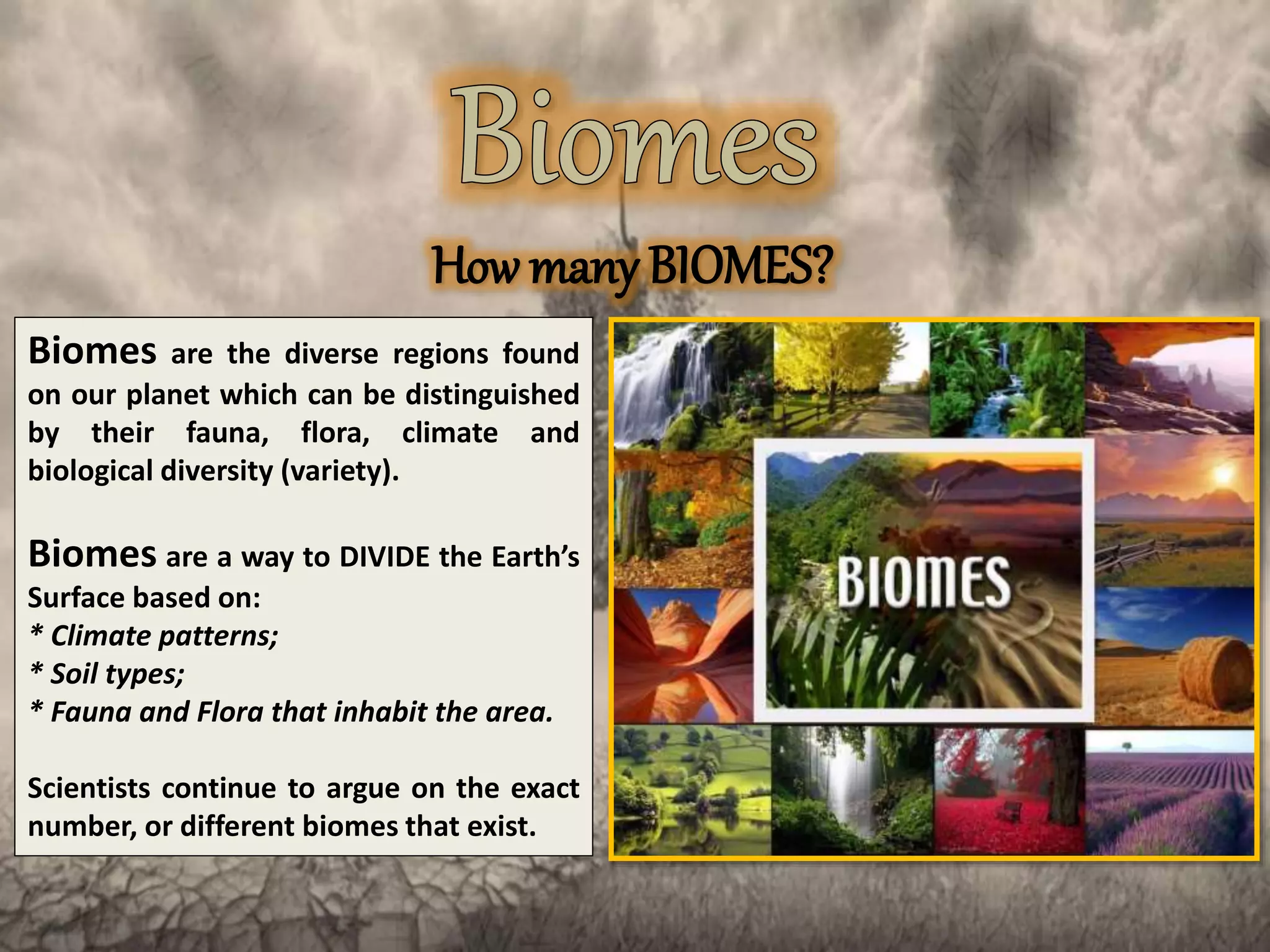 Biomes: PowerPoint | PPSX