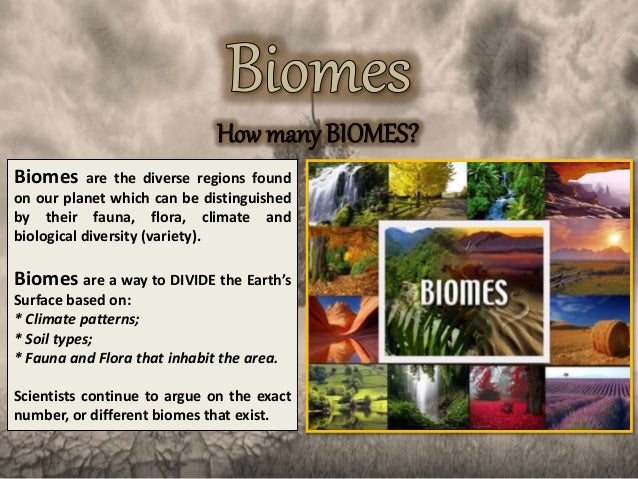 Powerpoint Biomes Biomes POWERPOINT 2 Notes